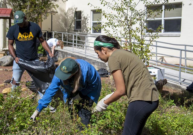 Community Service | Saint Leo University