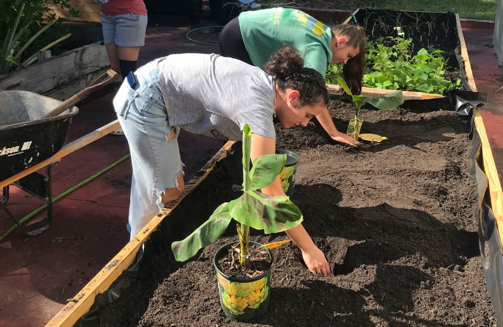 Treehouse Club Nurtures Ecology | Saint Leo University